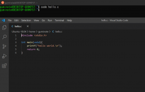 【Emacs万歳！】WSLでEmacsを使う – 茱萸note